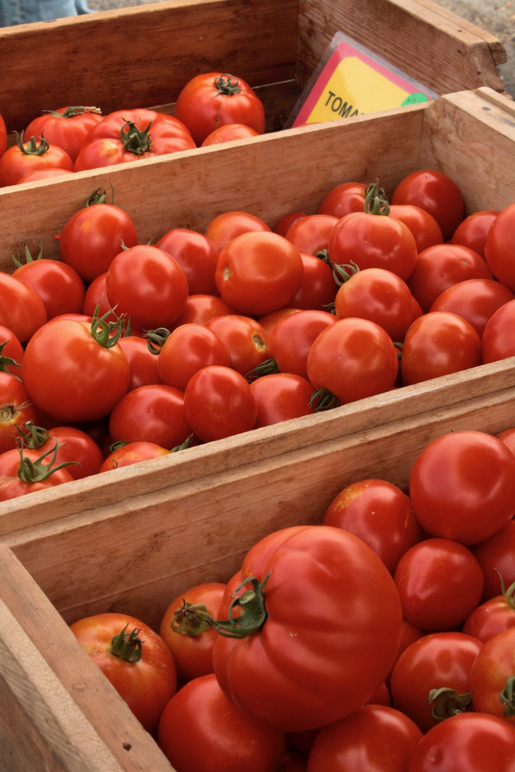 Cozinha da Matilde | Pan tomaca direto da Espanha - Cozinha da Matilde